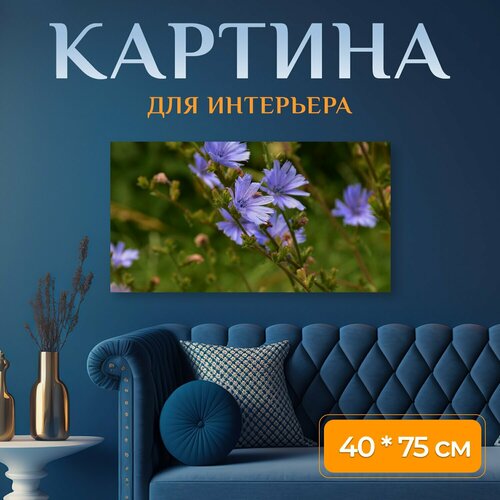 Картина на холсте "Васильковый, остроконечный цветок, луг" на подрамнике 75х40 см. для интерьера