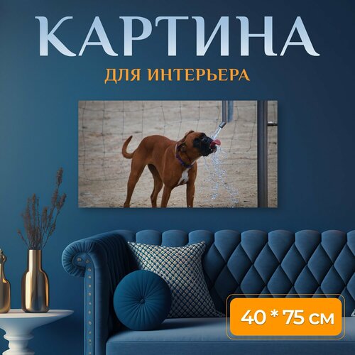 Картина на холсте "Собака, жажда, вода" на подрамнике 75х40 см. для интерьера