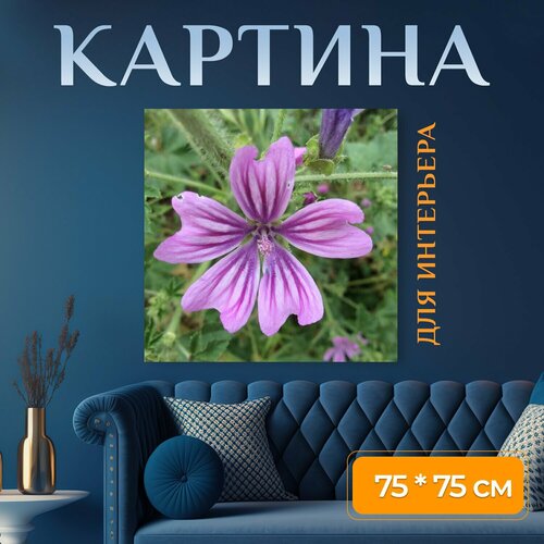 Картина на холсте "Мэллов, цветок, природа" на подрамнике 75х75 см. для интерьера