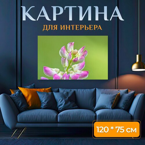 Картина на холсте "Макро, цветы, люпин" на подрамнике 120х75 см. для интерьера