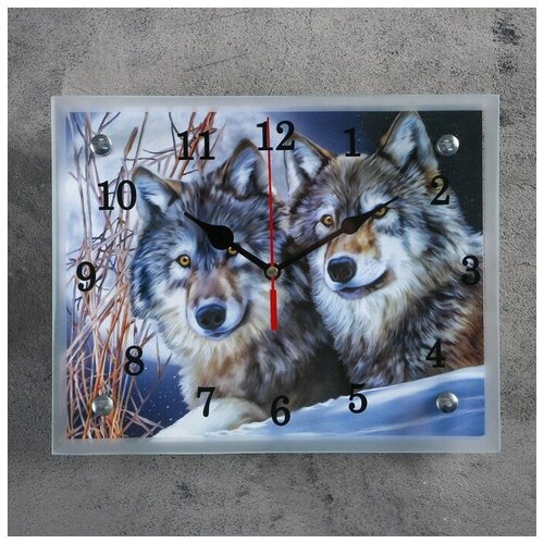 Часы настенные, серия: Животный мир, "Два волка", 20х25 см
