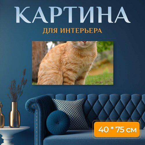 Картина на холсте "Кот, кошачий, животное" на подрамнике 75х40 см. для интерьера