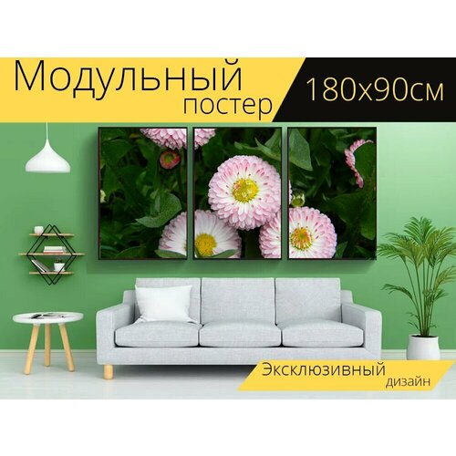 Модульный постер "Маргаритка, розовые цветы, маленькие цветы" 180 x 90 см. для интерьера