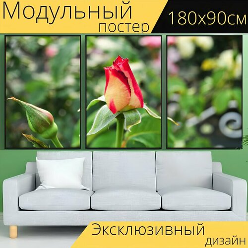 Модульный постер "Роза, бутон, цветок" 180 x 90 см. для интерьера