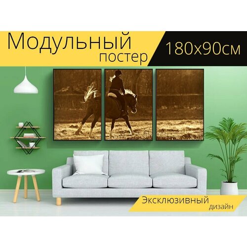 Модульный постер "Лошадь, верховая езда, всадник" 180 x 90 см. для интерьера