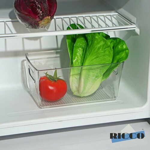 Контейнер для холодильника RICCO, 23,5×13×11 см, цвет прозрачный (комплект из 4 шт)