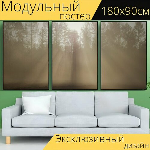 Модульный постер "Туман, природа, рассвет семейное" 180 x 90 см. для интерьера