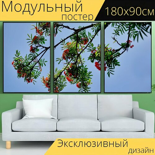 Модульный постер "Ягоды рябины, рябину дерево, птица" 180 x 90 см. для интерьера