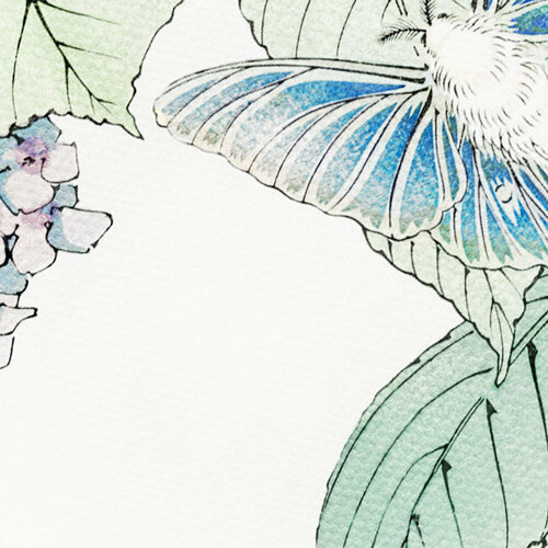 Картина на холсте, репродукция / Моримото Токо - Моль и растение / Размер 80 x 106 см