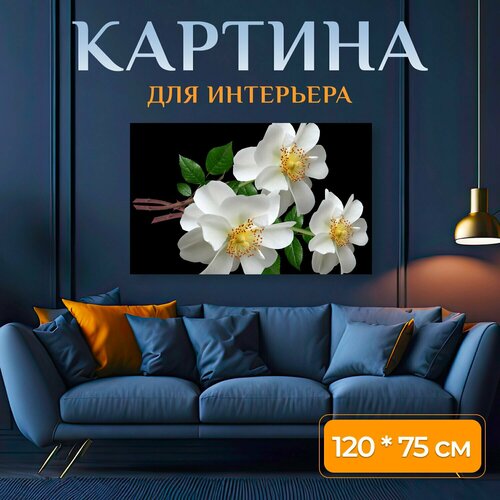 Картина на холсте "Цветы, белый, розы" на подрамнике 120х75 см. для интерьера