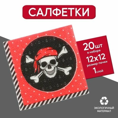 Cалфетки Пират, 25х25 см, набор 20 шт.