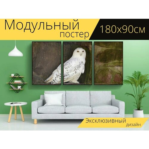 Модульный постер "Снежная сова, сова, белый" 180 x 90 см. для интерьера