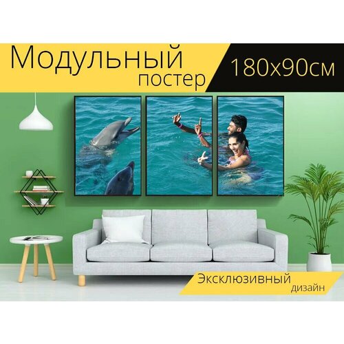 Модульный постер "Дельфины, веселье, плавать" 180 x 90 см. для интерьера