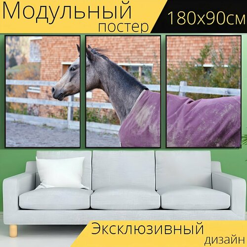 Модульный постер "Лошадь, загон, одеяло" 180 x 90 см. для интерьера
