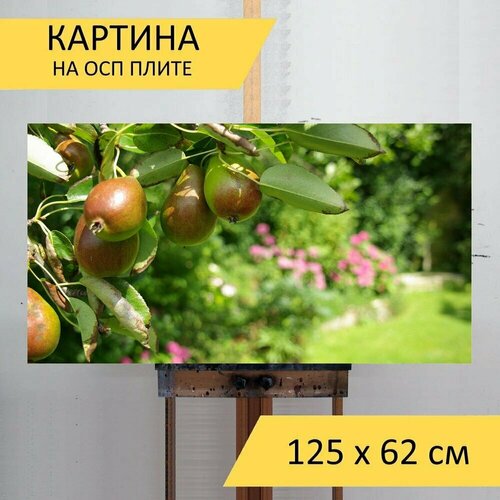 Картина на ОСП 125х62 см. "Груши, груша, фруктовый сад" горизонтальная, для интерьера, с креплениями
