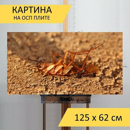 Картина на ОСП 125х62 см. "Таракан, насекомое, природа" горизонтальная, для интерьера, с креплениями