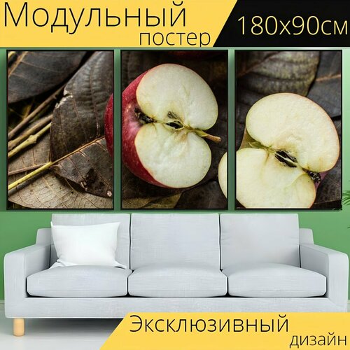 Модульный постер "Яблоко, половинка яблока, семечки" 180 x 90 см. для интерьера