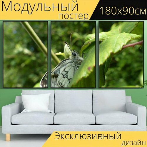Модульный постер "Бабочка, лист, природа" 180 x 90 см. для интерьера