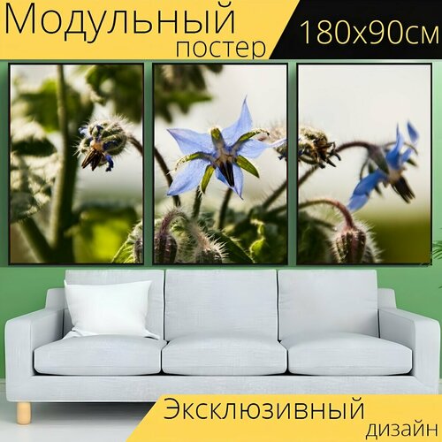 Модульный постер "Синий цветок, цветок, природа" 180 x 90 см. для интерьера