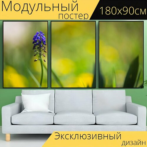 Модульный постер "Цветок весны, синий цветок, весна" 180 x 90 см. для интерьера