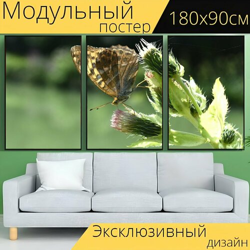 Модульный постер "Комбикорма, бабочка, моль" 180 x 90 см. для интерьера