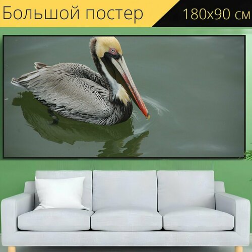 Большой постер "Пеликан, болотная, птица" 180 x 90 см. для интерьера