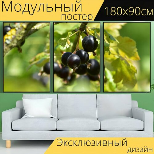 Модульный постер "Сад, фрукты, чернить" 180 x 90 см. для интерьера