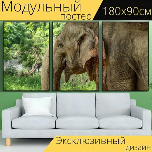 Модульный постер "Слон, зоопарк, природа" 180 x 90 см. для интерьера