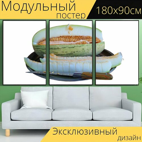Модульный постер "Дыни, еда, спелые" 180 x 90 см. для интерьера