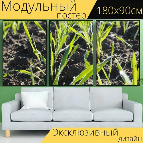 Модульный постер "Сельское хозяйство, пшеница, поле" 180 x 90 см. для интерьера