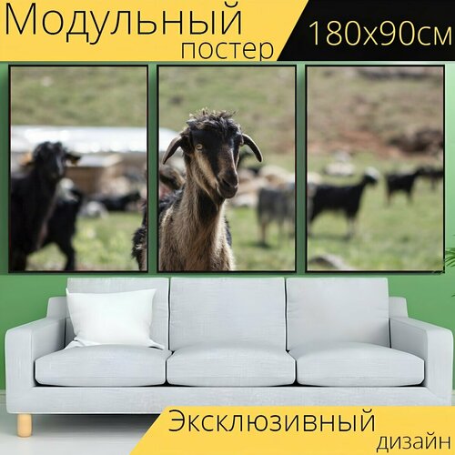 Модульный постер "Козел, ферма, домашний скот" 180 x 90 см. для интерьера