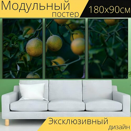 Модульный постер "Апельсин, фрукты, осень" 180 x 90 см. для интерьера
