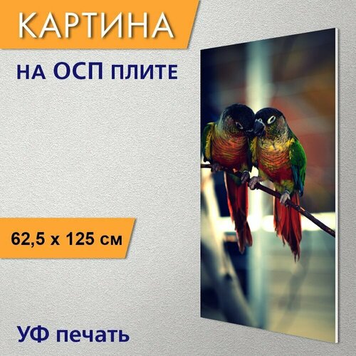 Вертикальная картина на ОСП "Птица, цвет, попугай" 62x125 см. для интерьериа