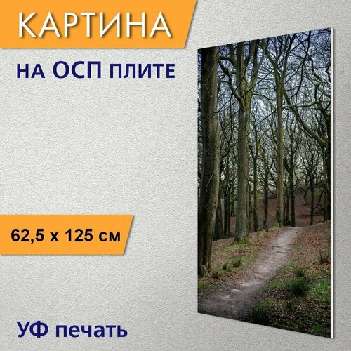 Вертикальная картина на ОСП "Природа, путь, лес" 62x125 см. для интерьериа