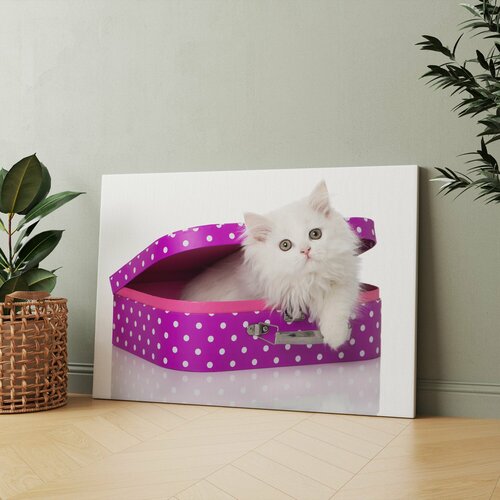 Картина на холсте "Белый кот сидит внутри фиолетового чемодана" 50x70 см. Интерьерная, на стену.