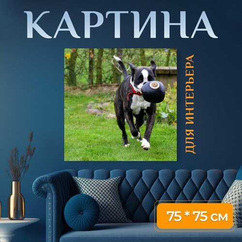 Картина на холсте "Собака, боксер, домашнее животное" на подрамнике 75х75 см. для интерьера