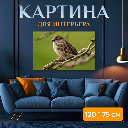 Картина на холсте "Домовый воробей, птица, ветви" на подрамнике 120х75 см. для интерьера