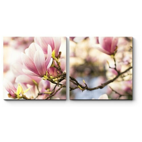 Модульная картина Весны прекрасное цветение 120x60