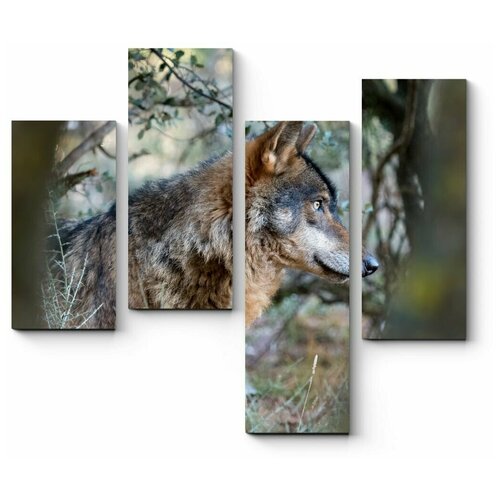 Модульная картина Волк спрятался между деревьями 74x69