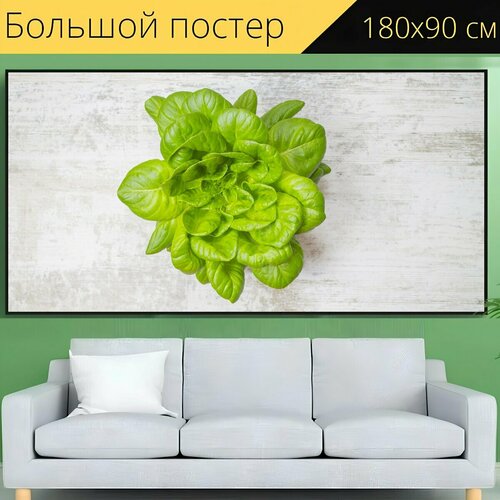 Большой постер "Зеленый салат, салат, зеленый" 180 x 90 см. для интерьера