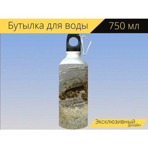 Бутылка фляга для воды "Подгузник, пчелы, вход" 750 мл. с карабином и принтом