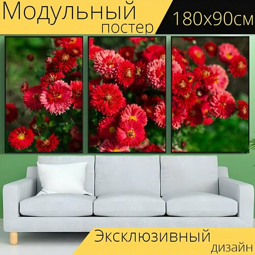 Модульный постер "Хризантема, красная, куст" 180 x 90 см. для интерьера