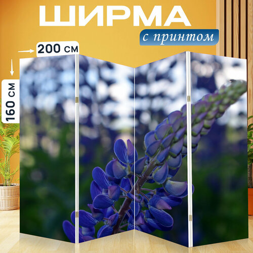 Ширма перегородка с принтом "Люпин, цветок, весна" на холсте - 200x160 см. для зонирования, раскладная