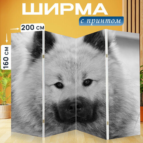 Ширма перегородка с принтом "Собака, черно белые фото, портрет собаки" на холсте - 200x160 см. для зонирования, раскладная