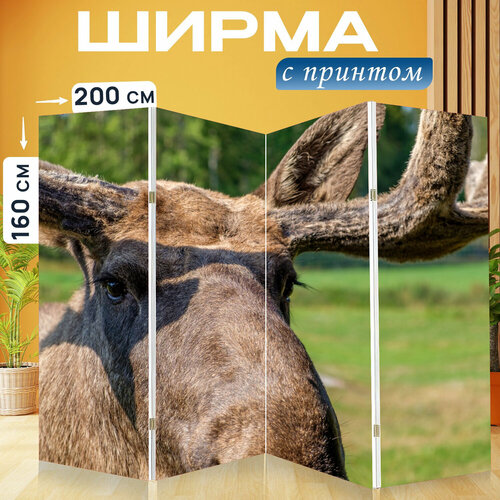 Ширма перегородка с принтом "Лось, олень, рог" на холсте - 200x160 см. для зонирования, раскладная