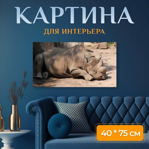 Картина на холсте "Носорог, черный носорог, африке" на подрамнике 75х40 см. для интерьера