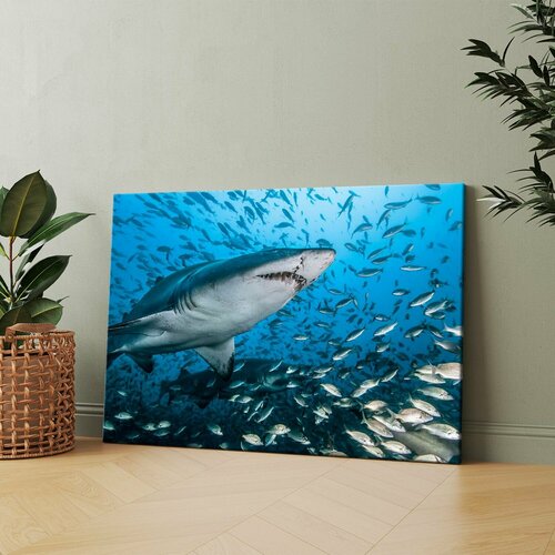 Картина на холсте (Большая акула плавает в океане, вокруг нее много рыб) 40x60 см. Интерьерная, на стену.