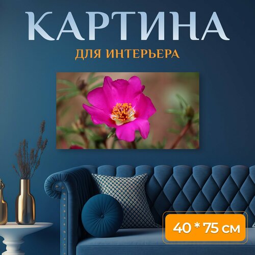 Картина на холсте "Природа, цветок, завод" на подрамнике 75х40 см. для интерьера