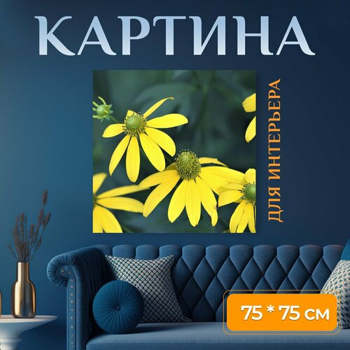 Картина на холсте "Арника, завод, цветок" на подрамнике 75х75 см. для интерьера
