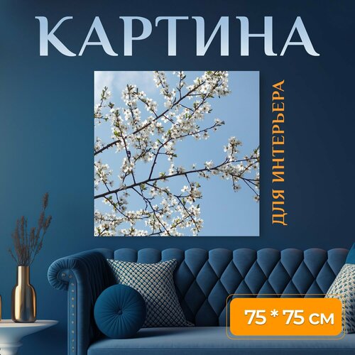 Картина на холсте "Весенние цветы, перспектива, небеса" на подрамнике 75х75 см. для интерьера